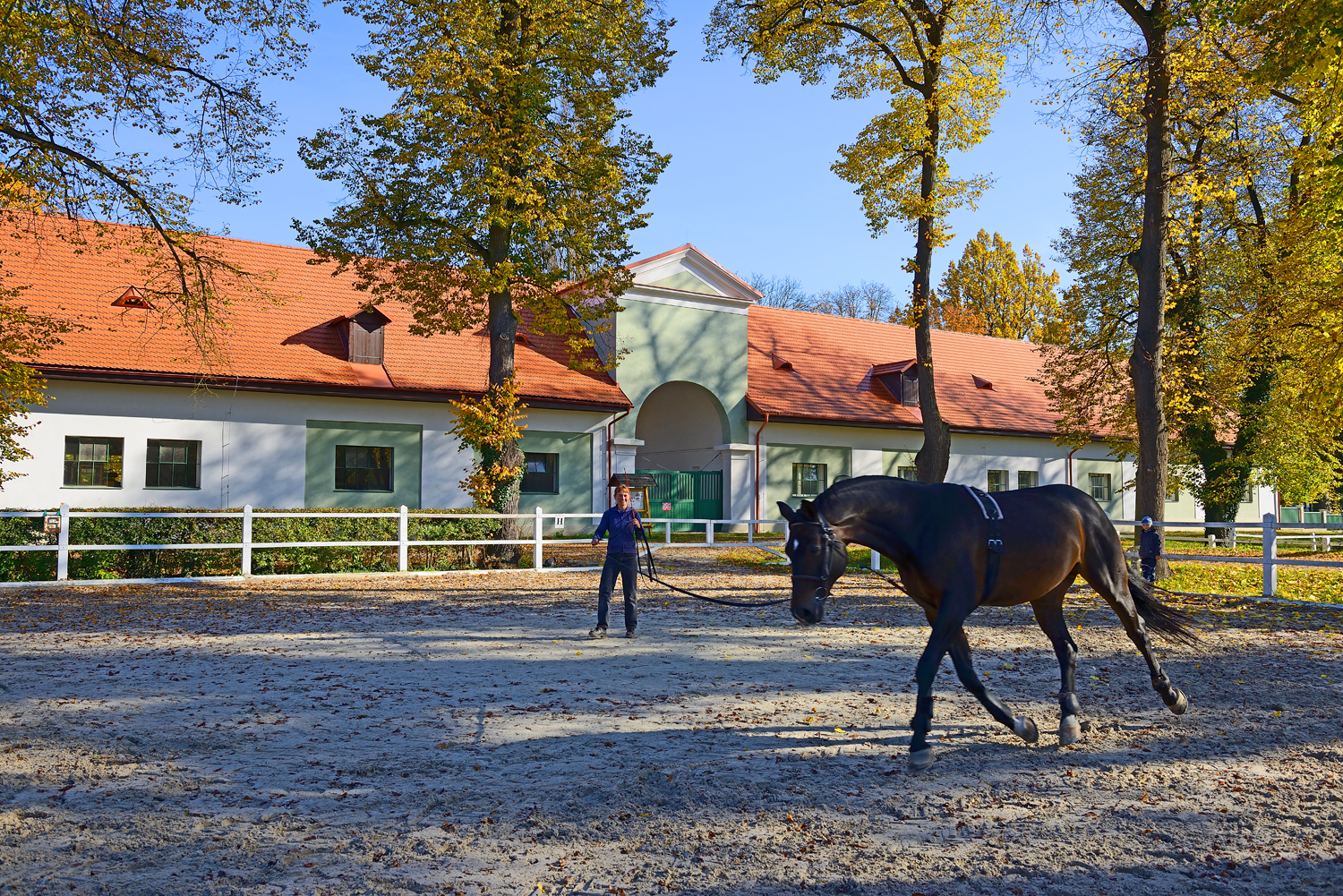 Pardubickem po stopách koní
